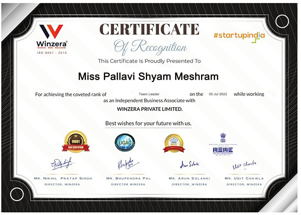 Stand Out With A Customizable Winzera Internship Certificate PSD Template